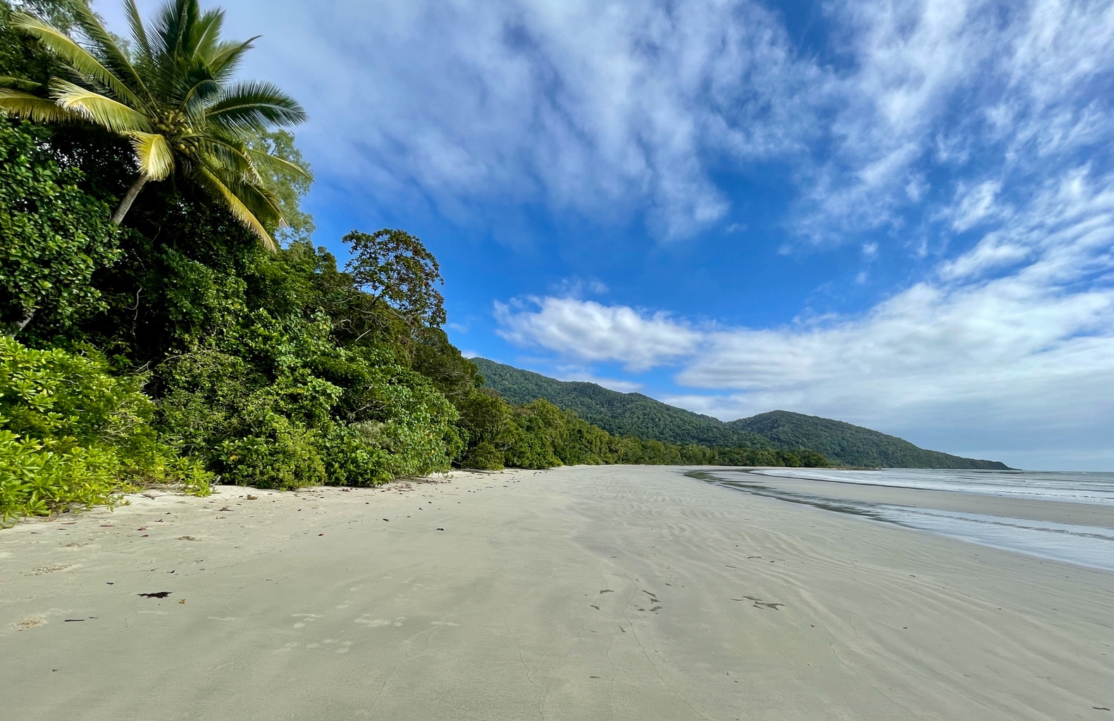 Cape Tribulation