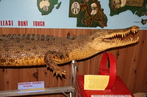 Cooktown Museum