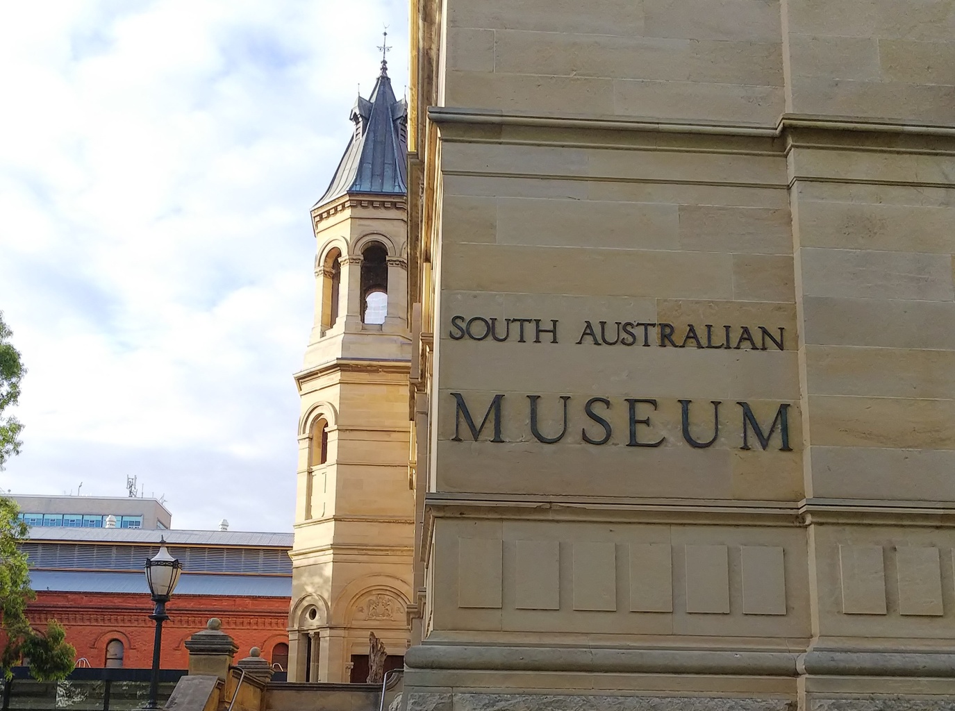 South Australian Museum
