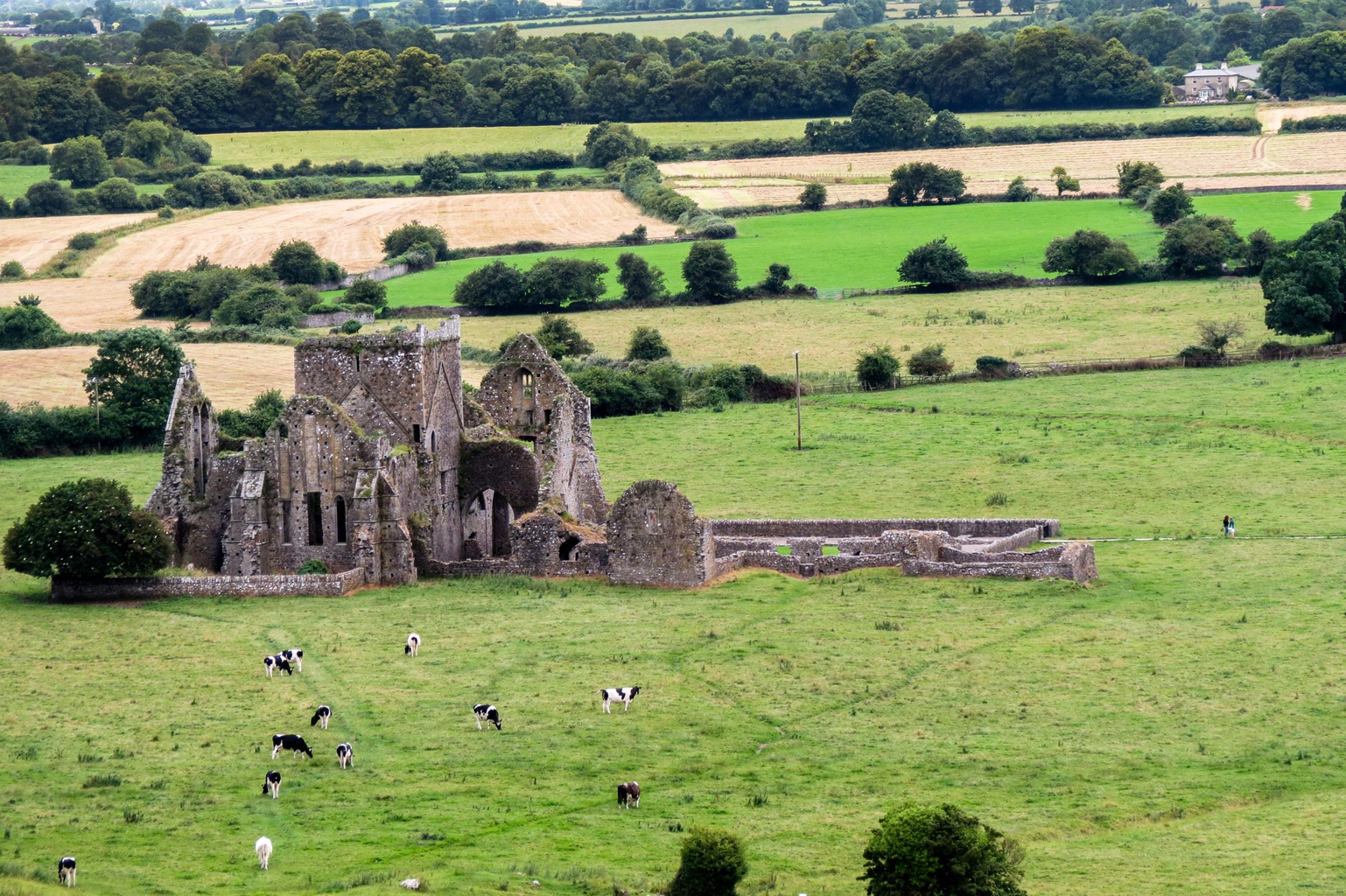 Hore Abbey