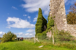 Dromineer Castle/Towerhouse
