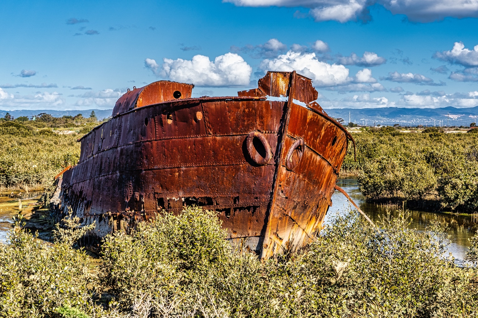 Mutton Cove Ship's Graveyard