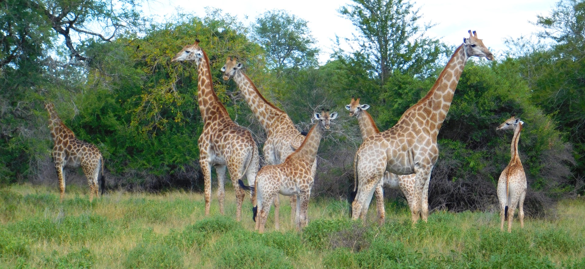 Zinave National Park