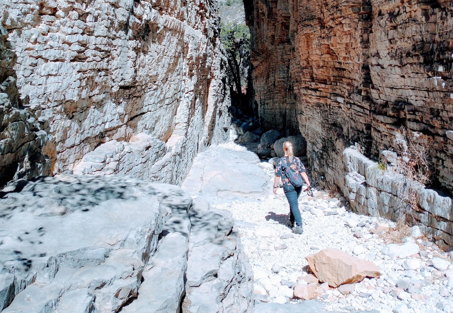 Devil's Hall Trail