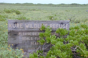 Kure Atoll (Ocean Island)