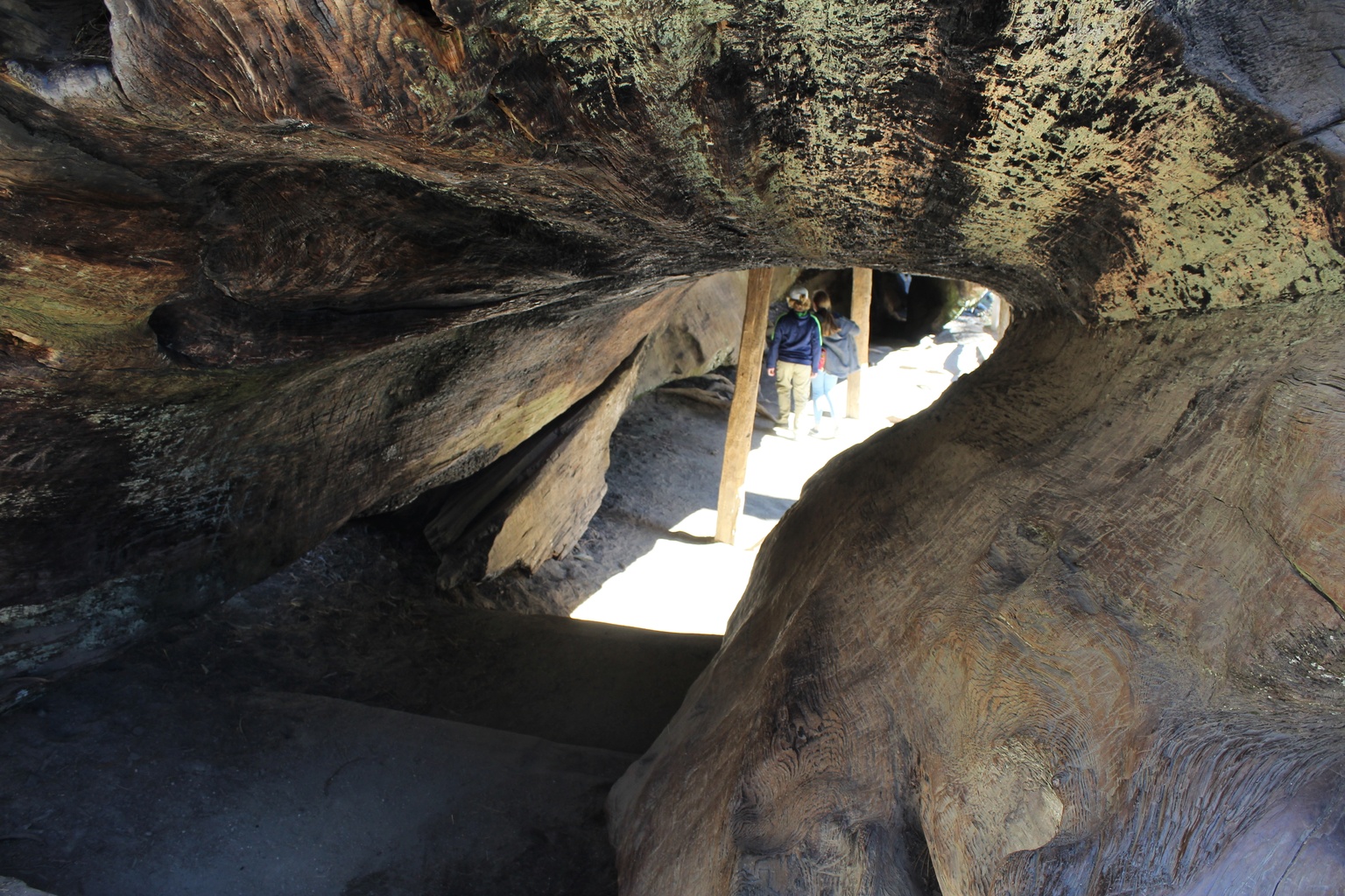 Fallen Monarch (Kings Canyon)