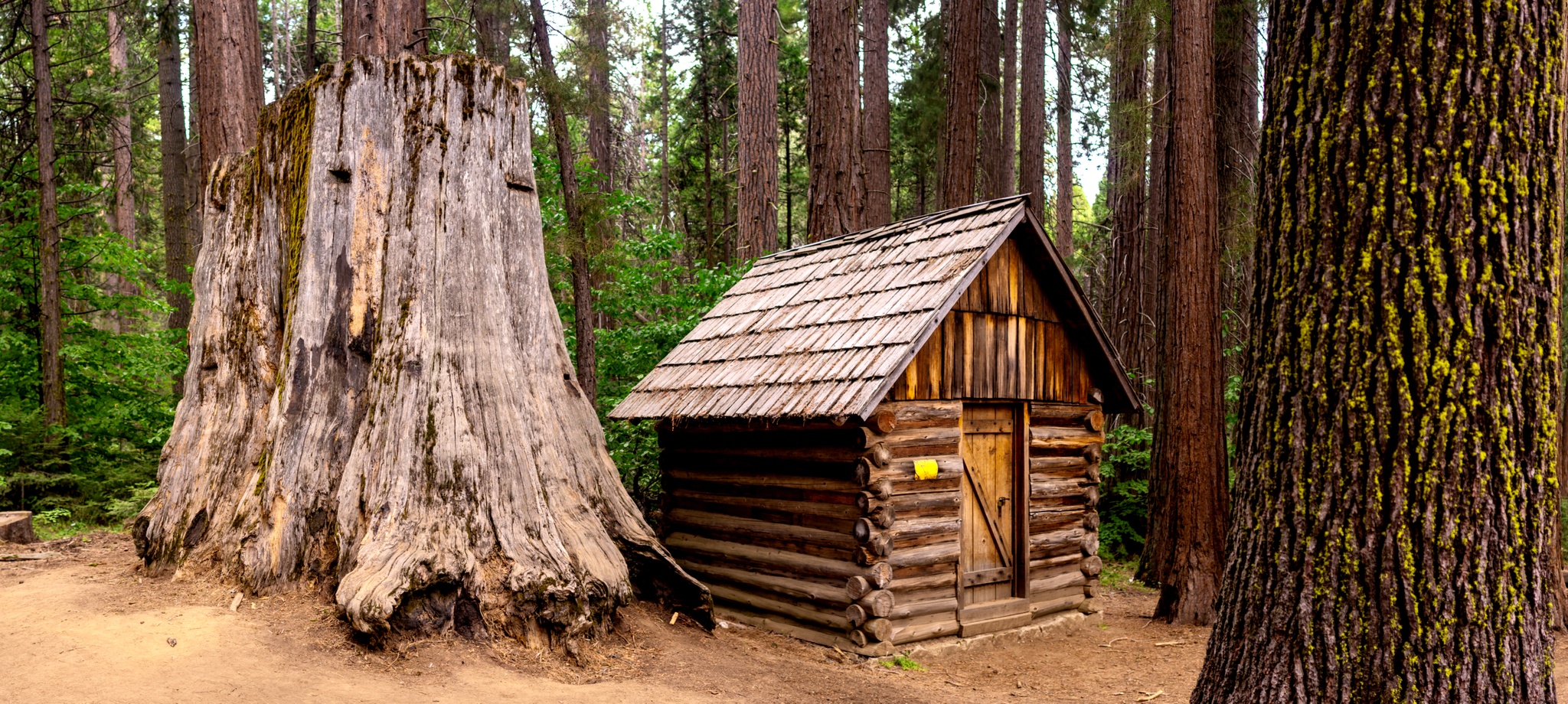Nelder Grove