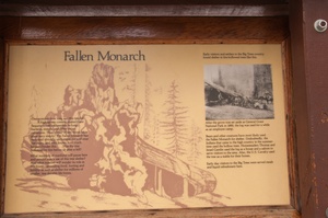 Fallen Monarch (Kings Canyon)