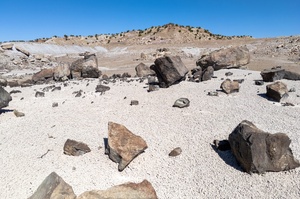 Cleveland Lloyd Dinosaur Quarry (Jurassic National Monument)