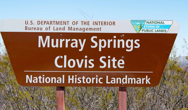 Murray Springs Clovis Site