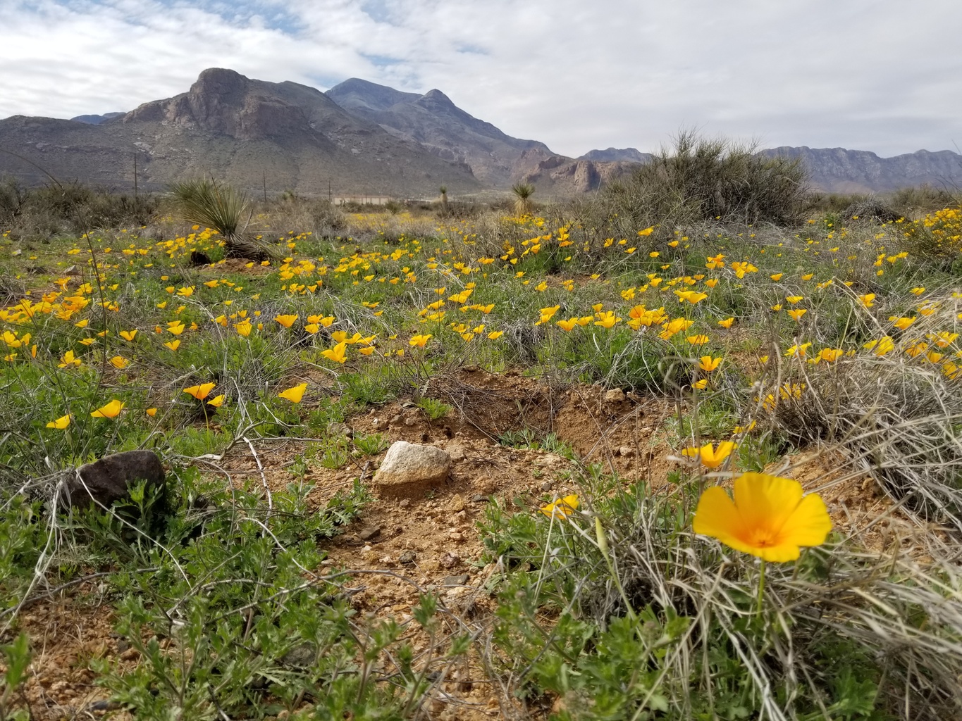 Castner Range National Monument