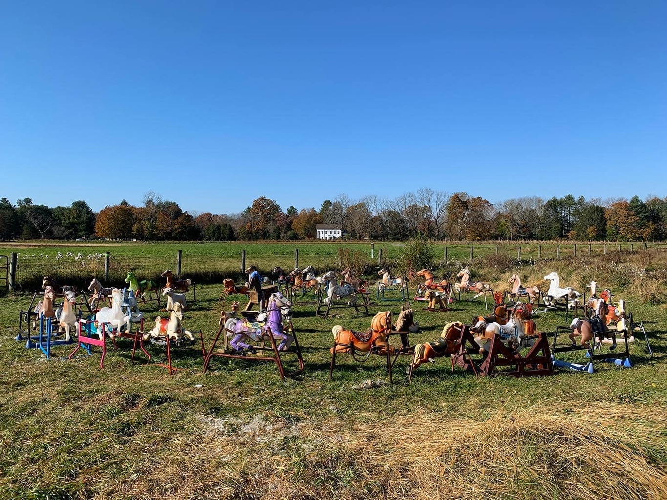 Ponyhenge (Rocking Horse Graveyard)