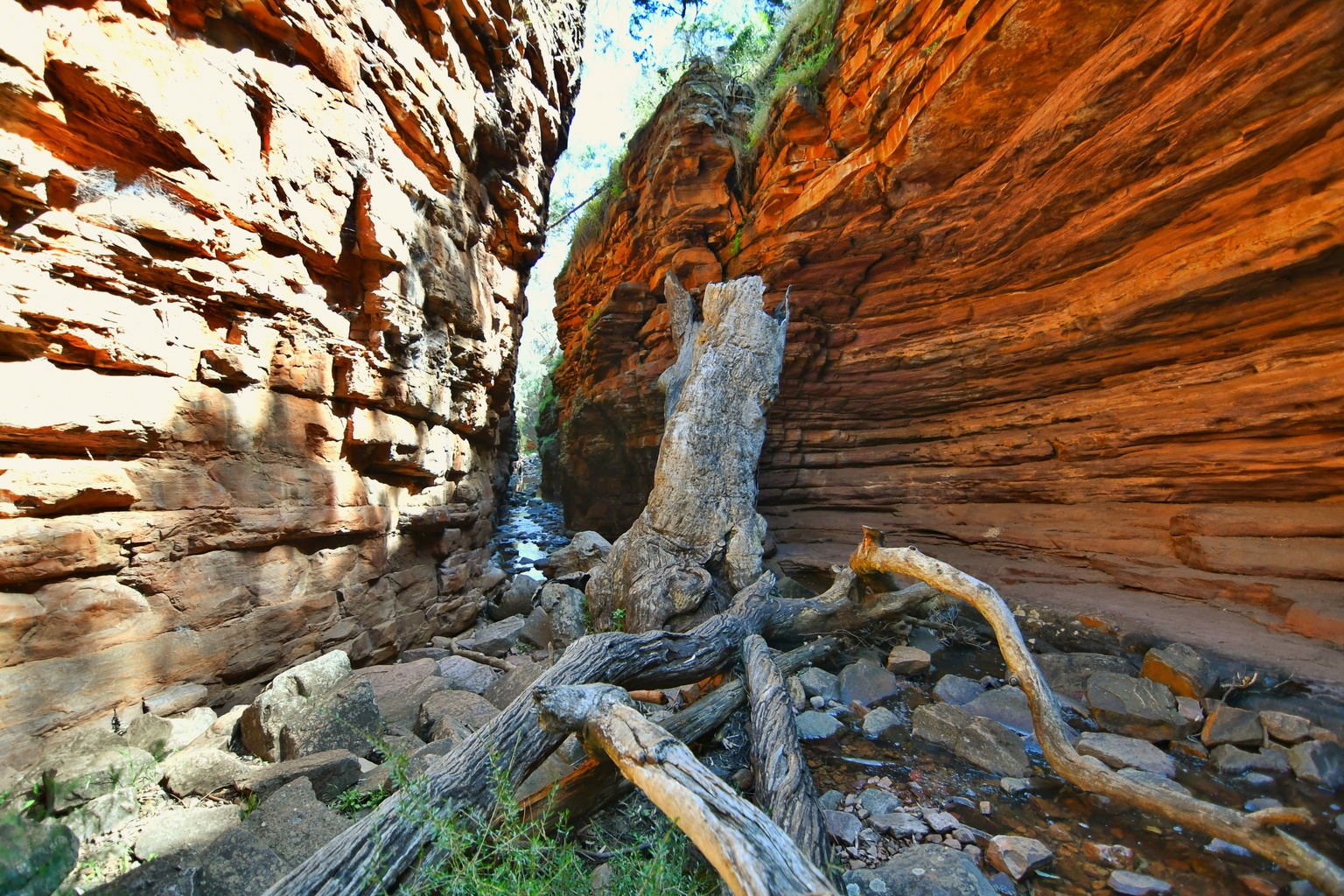 Alligator Gorge
