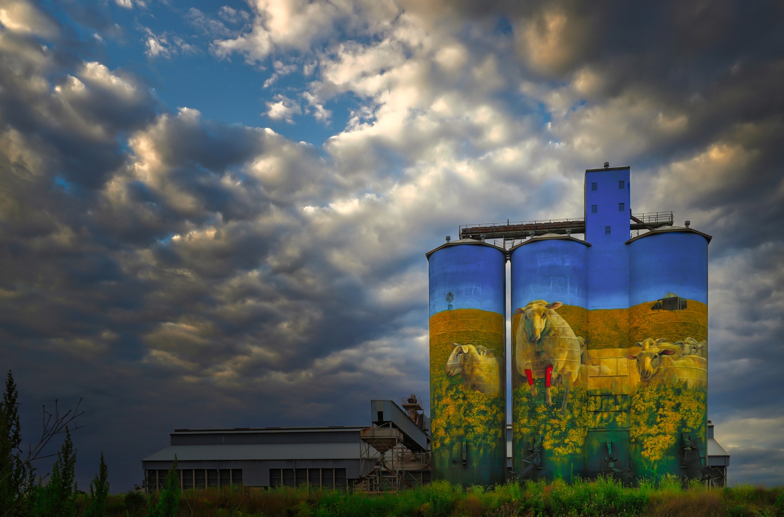 Merriwa Silo Art