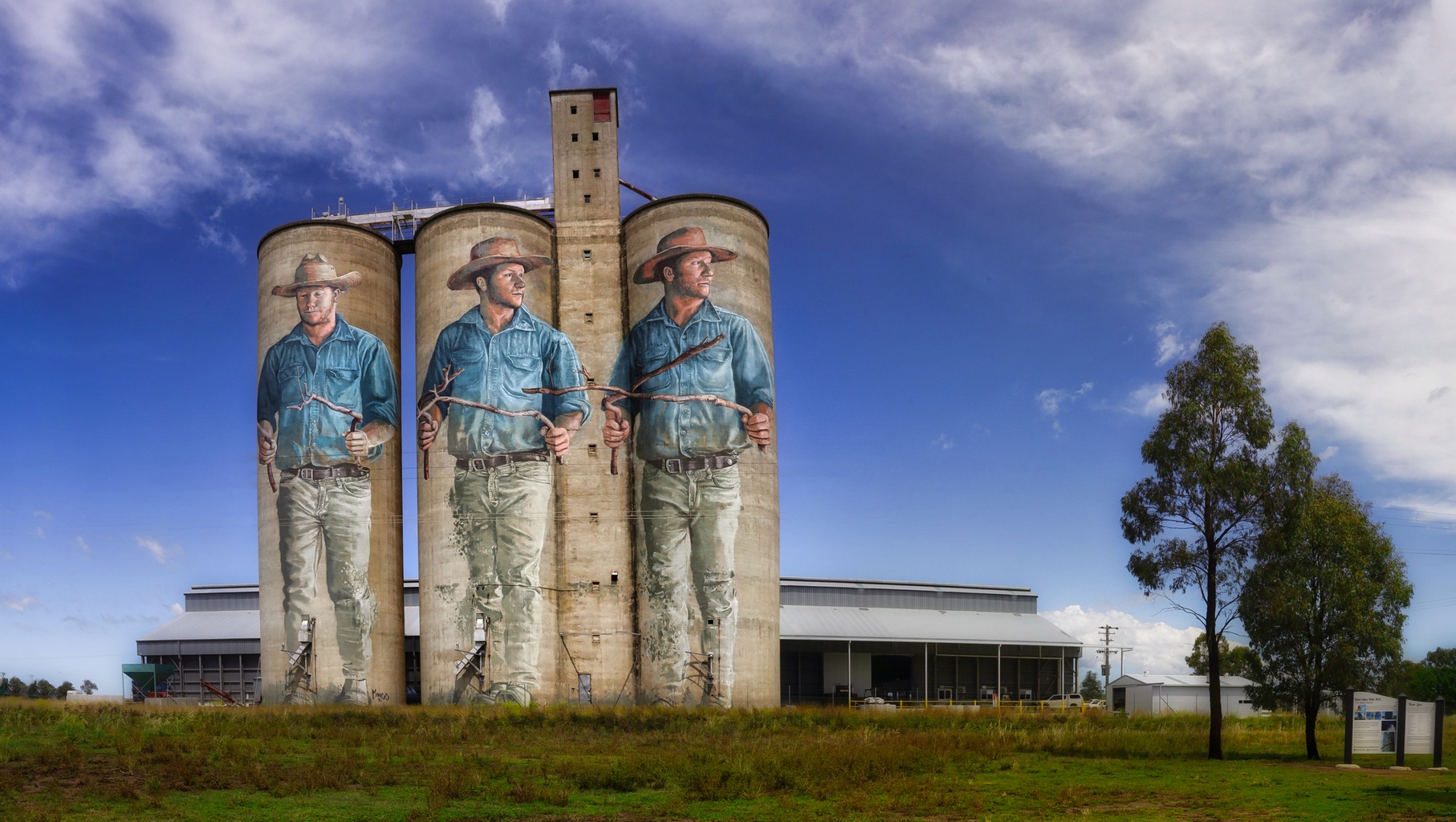 Barraba Silo Art