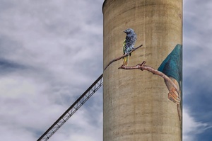 Barraba Silo Art