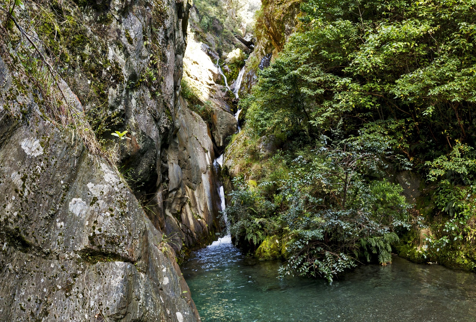 Neck Creek Waterfall