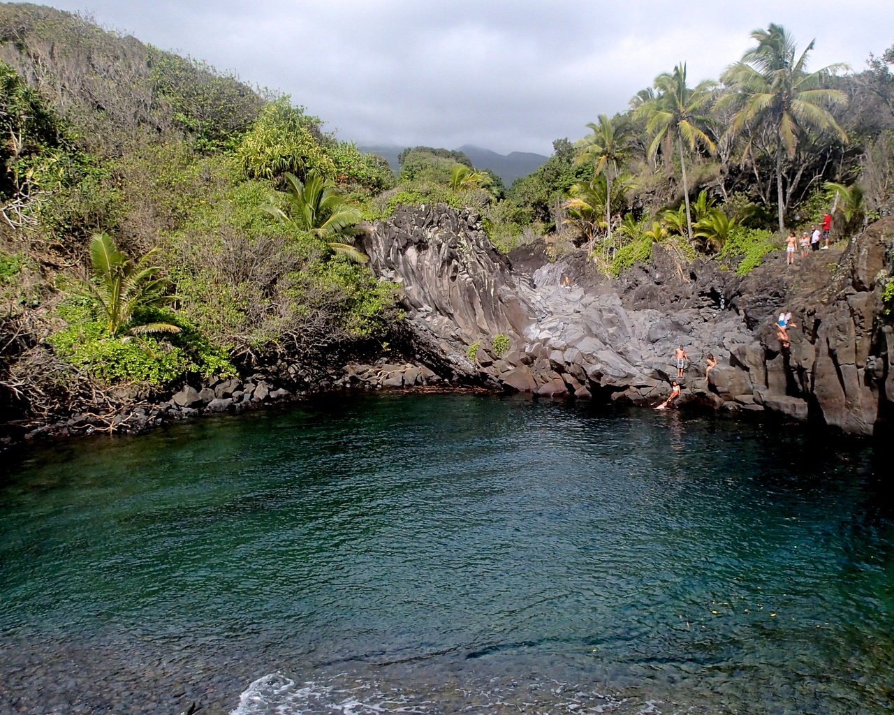 Waioka Pond (Venus Pool)