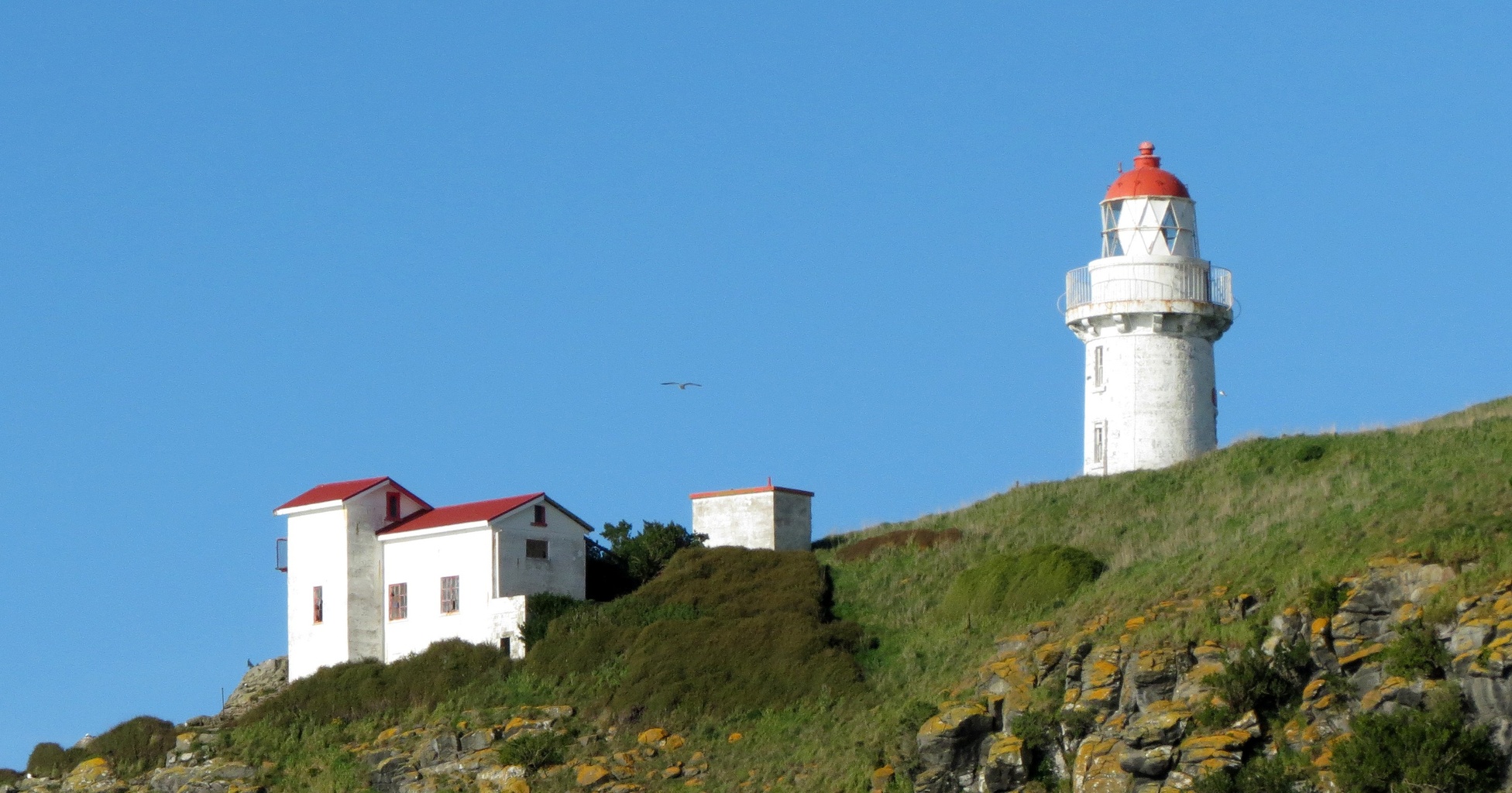 Taiaroa Head Lighthouse