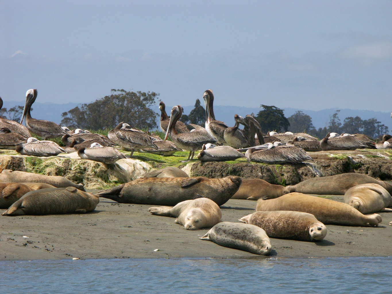 Elkhorn Slough National Estuarine Research Reserve