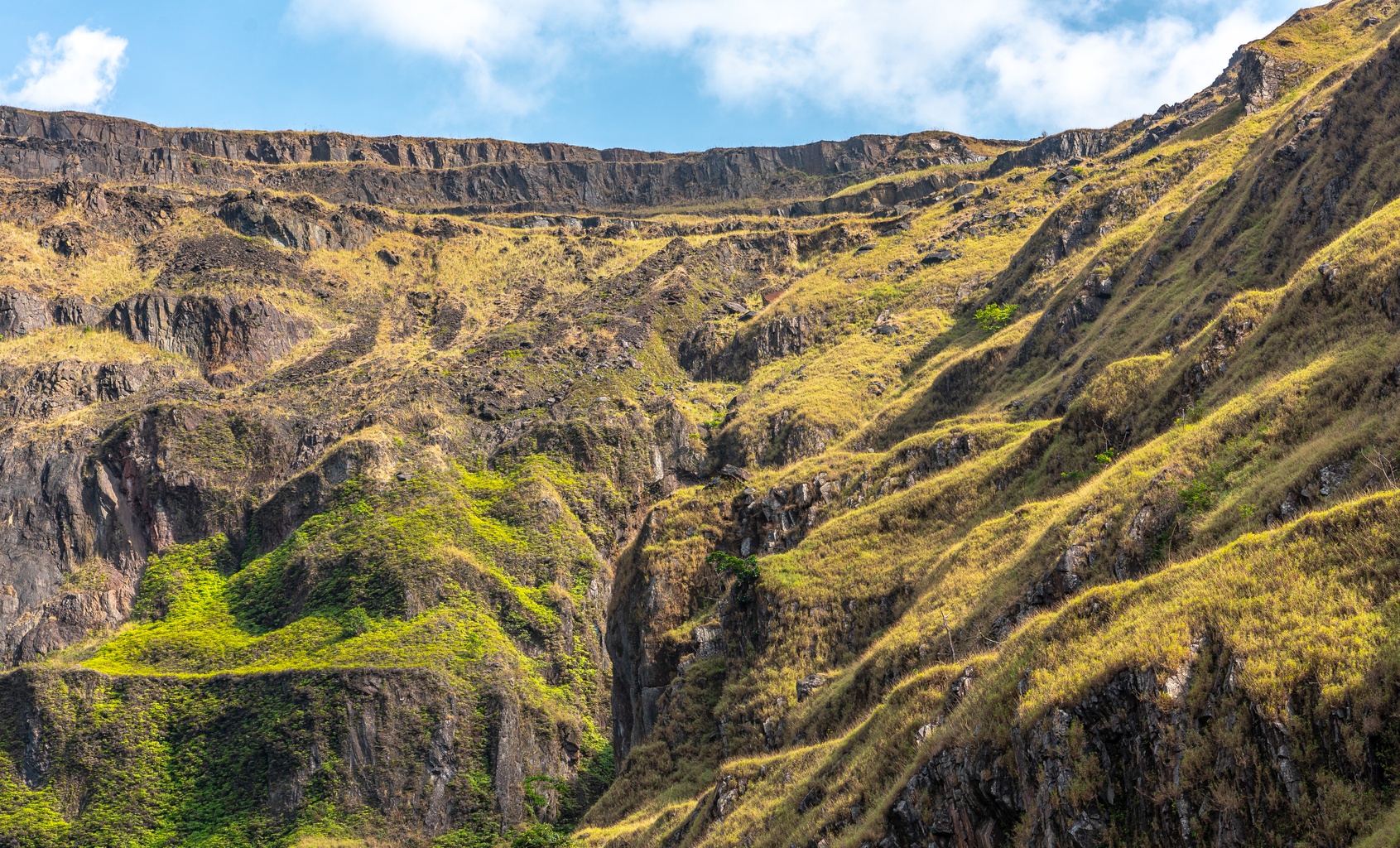 Mount Nimba Strict Nature Reserve