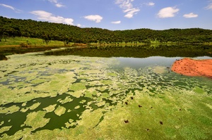 Tswaing Crater
