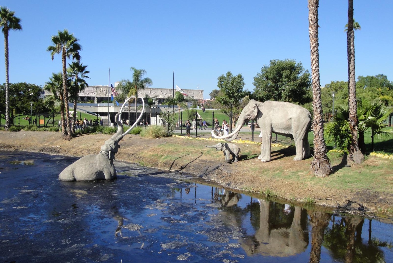 La Brea Tar Pits