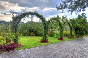 Quito Botanical Garden
