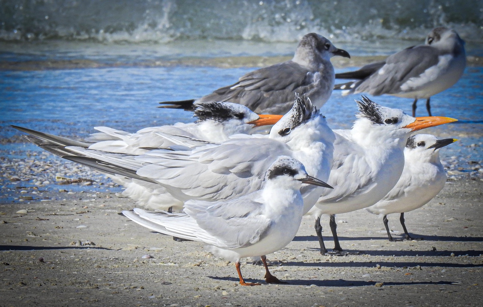 Passage Key National Wildlife Refuge
