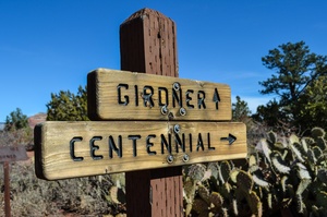 Centennial Trail Viewpoint