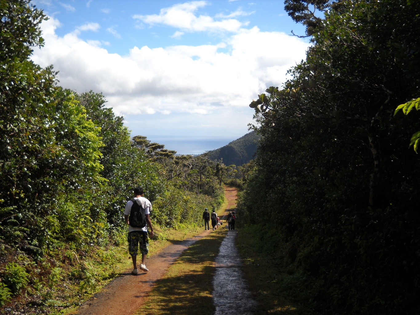 Macchabée & Colophane Trail