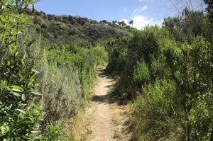 Irvine Ranch Natural Landmarks