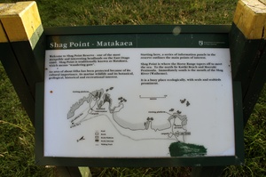 Shag Point (Matakaea)