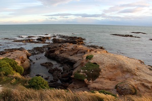 Shag Point (Matakaea)