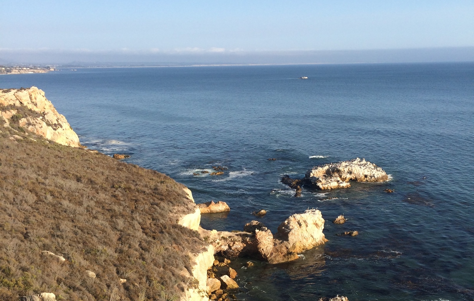 Shell Beach Bluff Trail