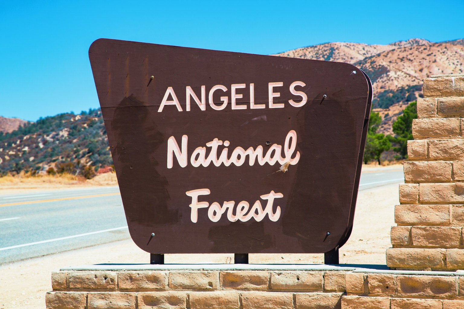 Angeles National Forest
