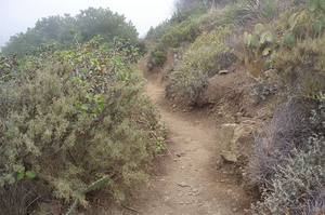 Chumash Trail