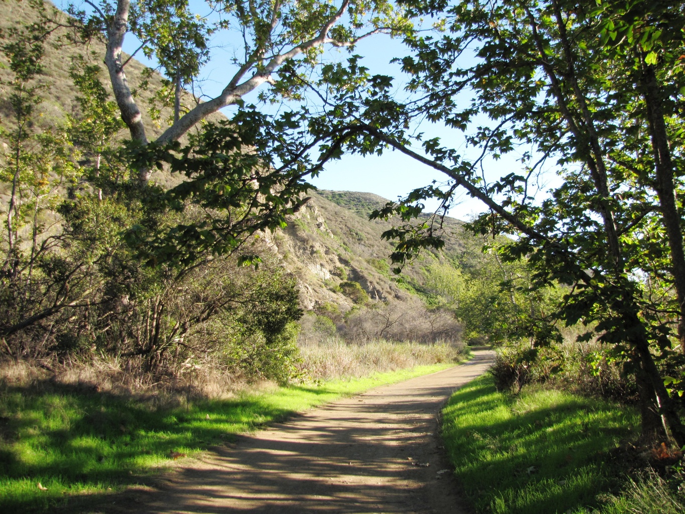Sycamore Canyon Campground