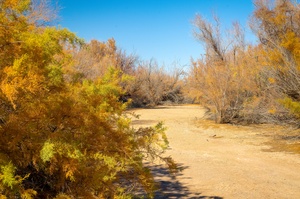 The Hot Springs LTVA