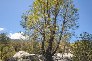 Keysville Recreation Area