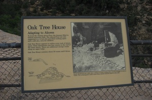 Oak Tree House Viewpoint