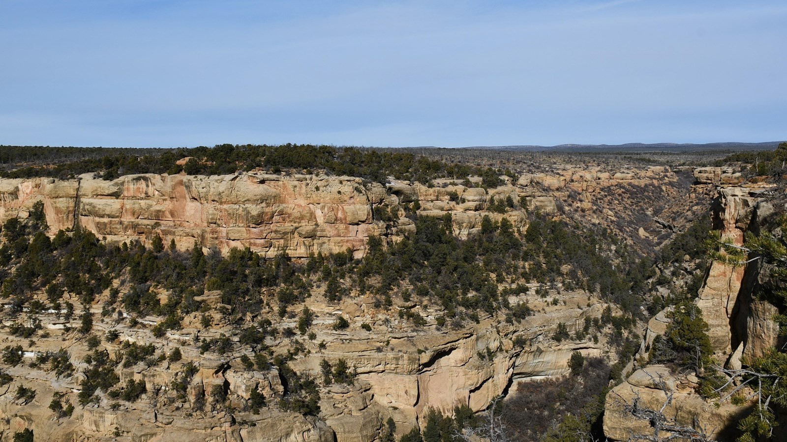 Cliff Canyon Overlook