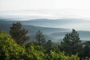 Ouachita National Forest