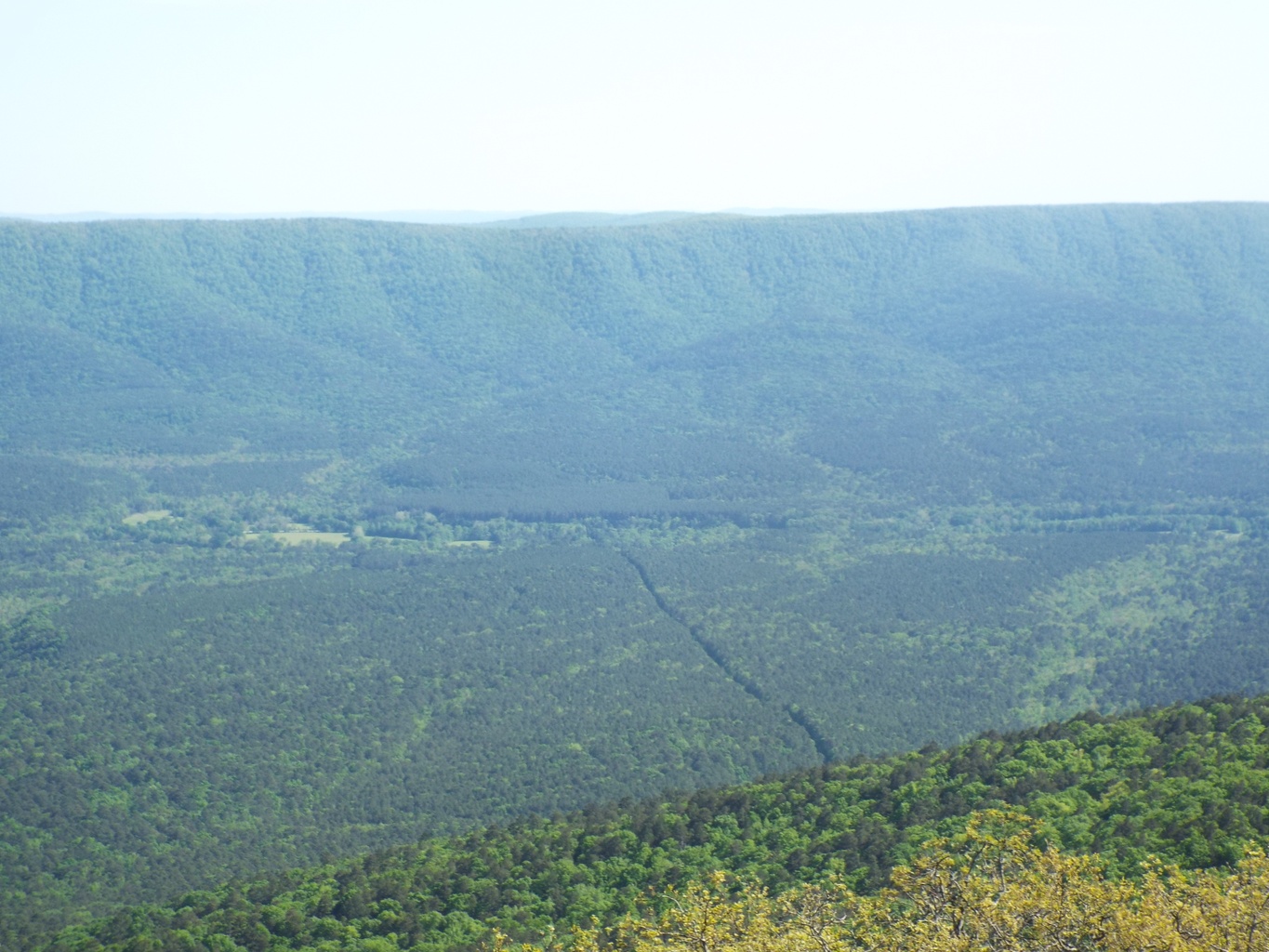 Kiamichi Valley Vista