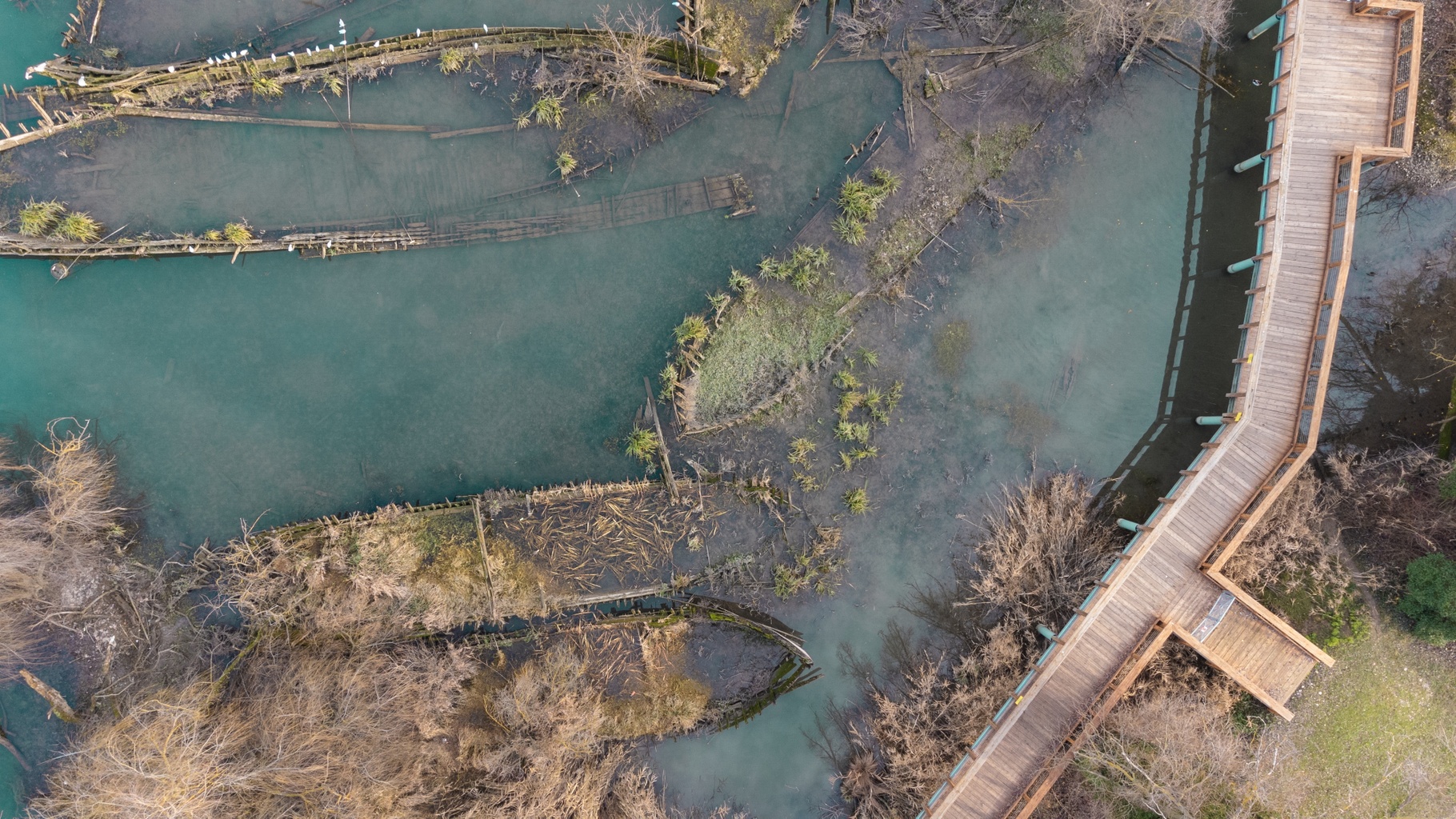 Casier Ship Graveyard