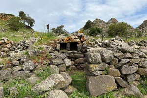 Tamuli Archaeological Site