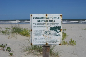 Stafford Beach