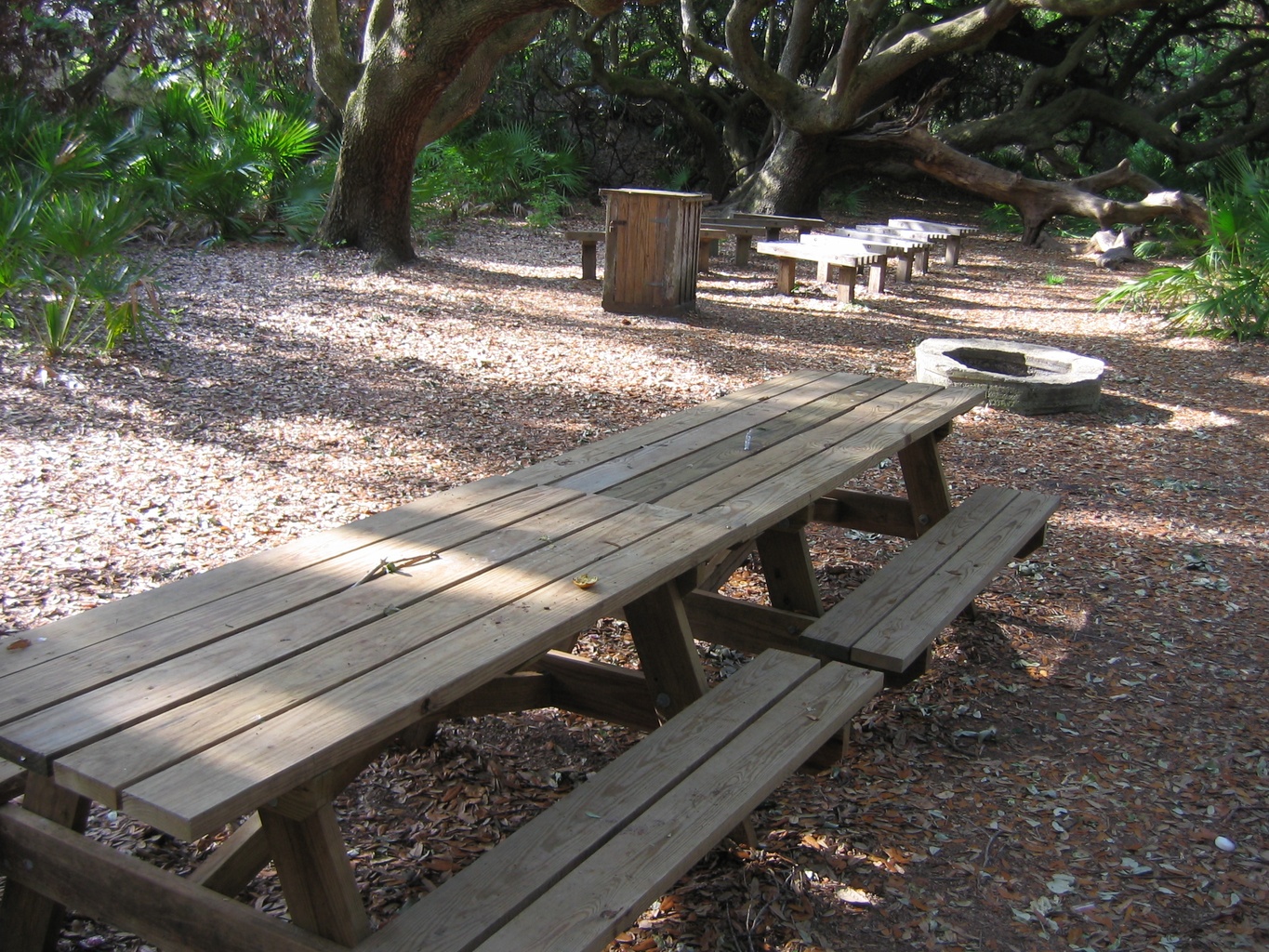 Sea Camp Campground