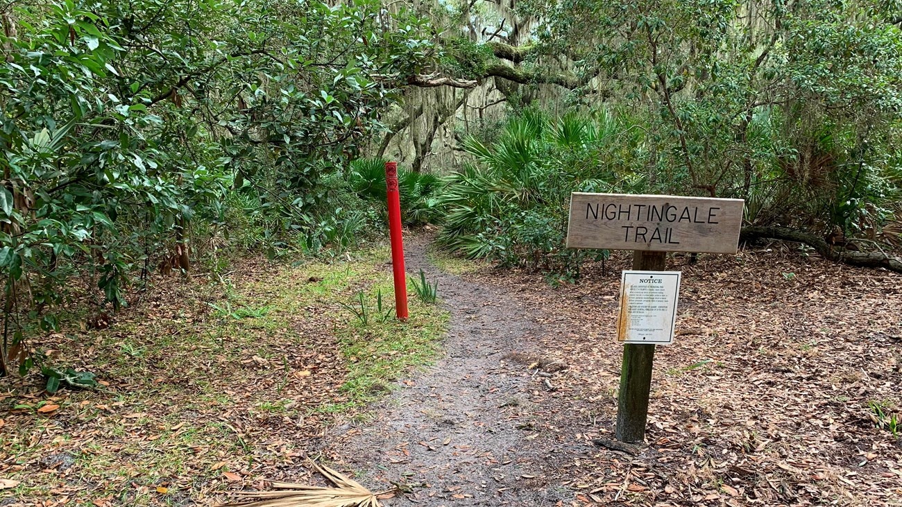 Nightingale Trail