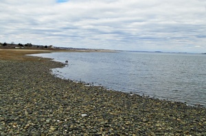 Fogland Beach